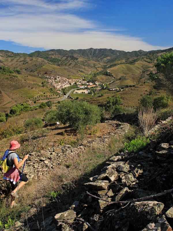 Welcome to Priorat | Priorat
